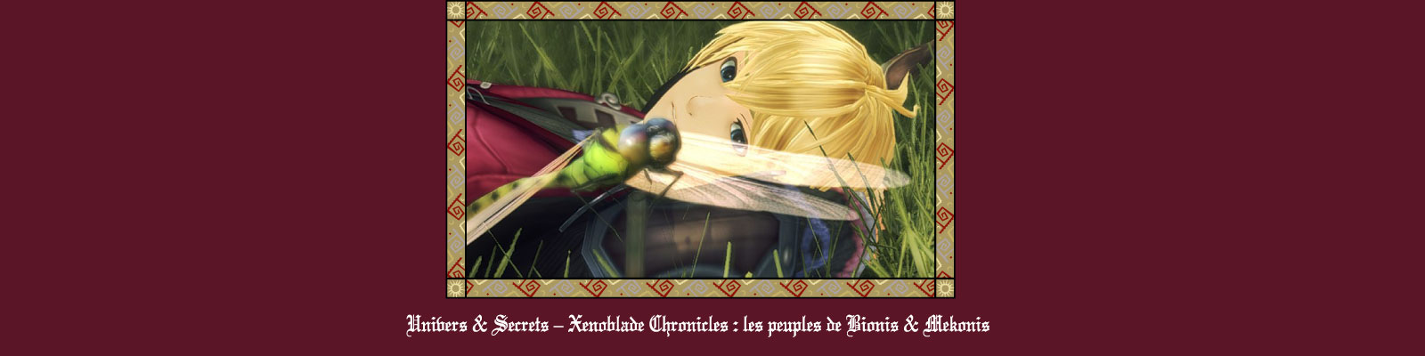 Univers & Secrets - Xenoblade Chronicles : les peuples de Bionis ...